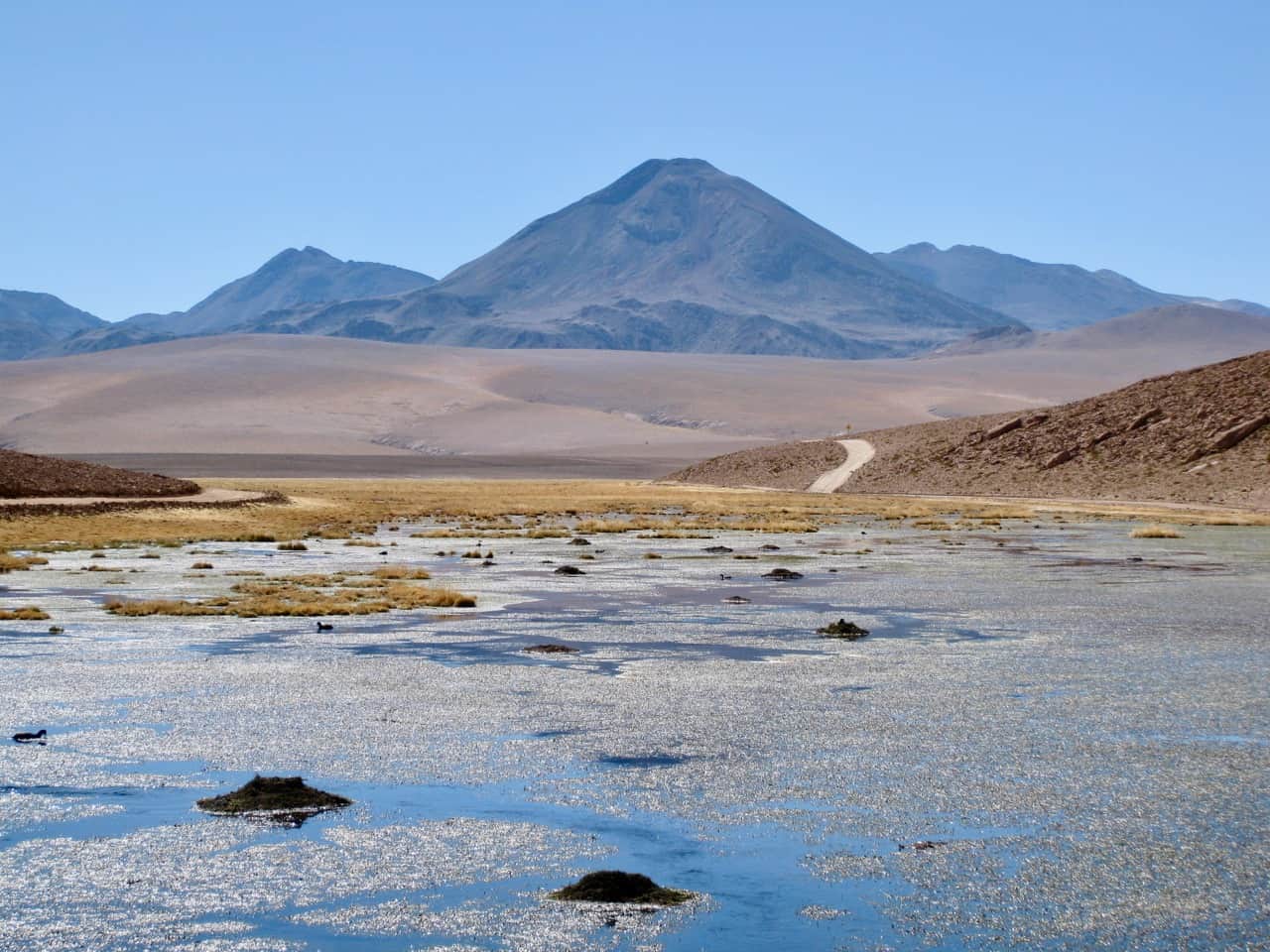 What to do in San Pedro de Atacama - best Atacama tours