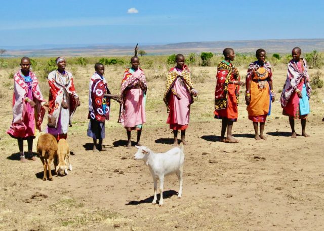 The majestic Masai Mara in photos