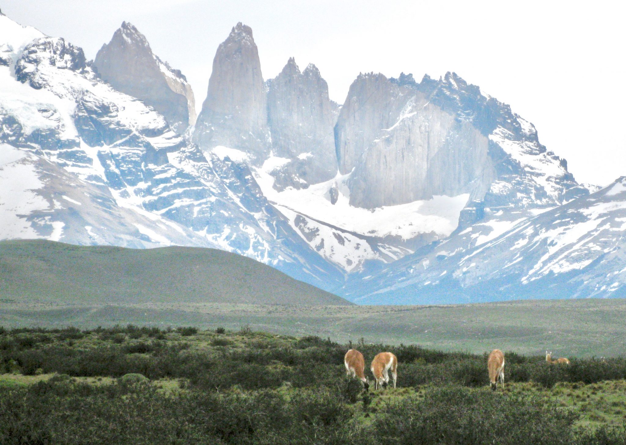 Photos of Patagonia, from penguins to mountains and glaciers!