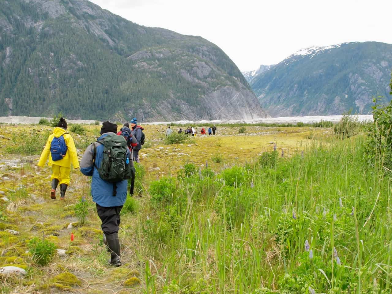 Hike to the Baird Glacier in southeast Alaska