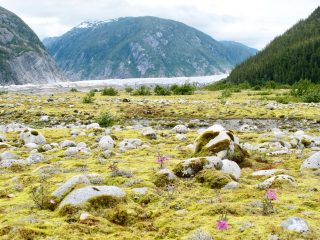 Hike to the Baird Glacier in southeast Alaska