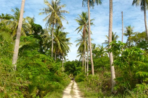 The Racha - a luxury beach resort on Ko Racha