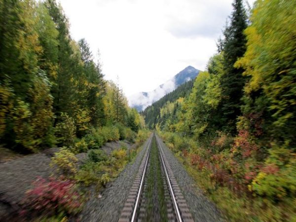 Canadian Rockies train tracks in photos