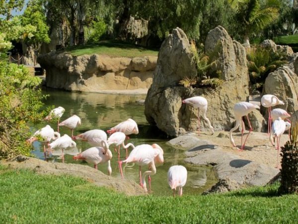 What to expect at the Bioparc and Aquarium in Valencia