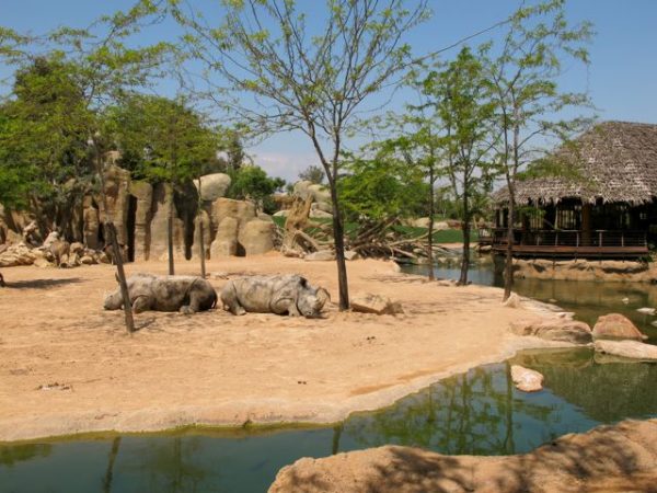 What to expect at the Bioparc and Aquarium in Valencia