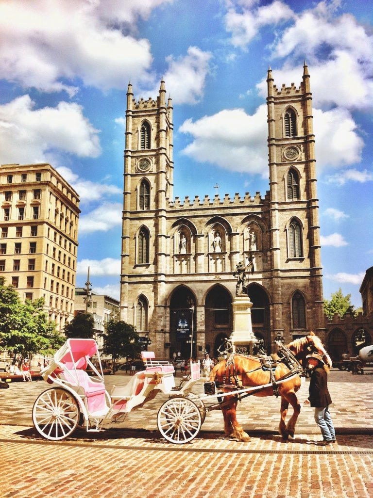 My favorite cities around the world and what to do there