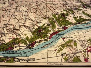 Discovering the history of Rheingau wine | Velvet Escape