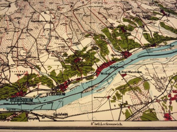 Discovering the history of Rheingau wine | Velvet Escape