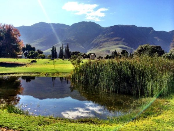 Stellenbosch wineries to visit