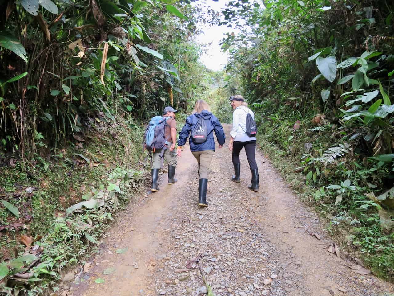 Experiencing the Mashpi Cloud Forest | Velvet Escape