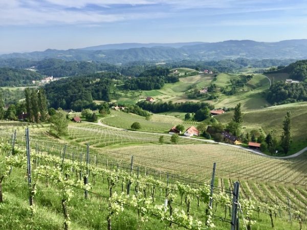 South Styrian Wine Road - the route, where to eat and drink