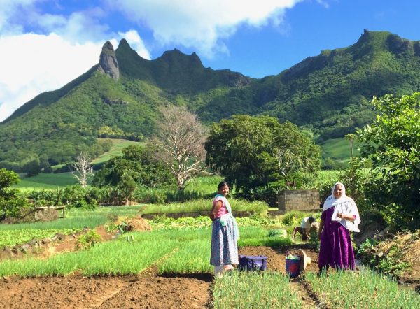 Mauritius itinerary including things to do and see | Velvet Escape