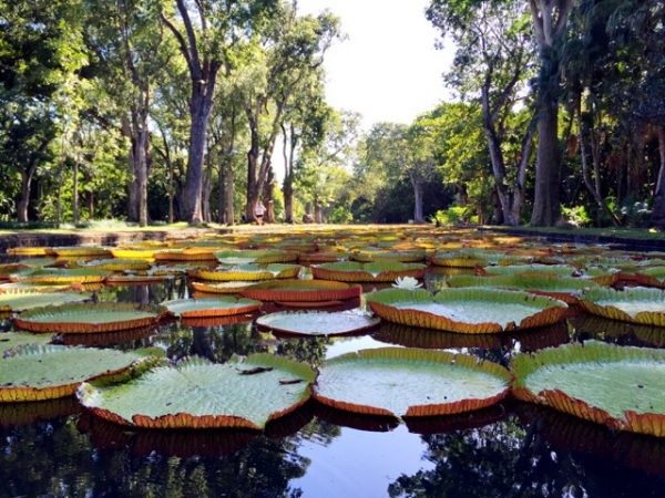 Relaxing and active things to do in Mauritius | Velvet Escape