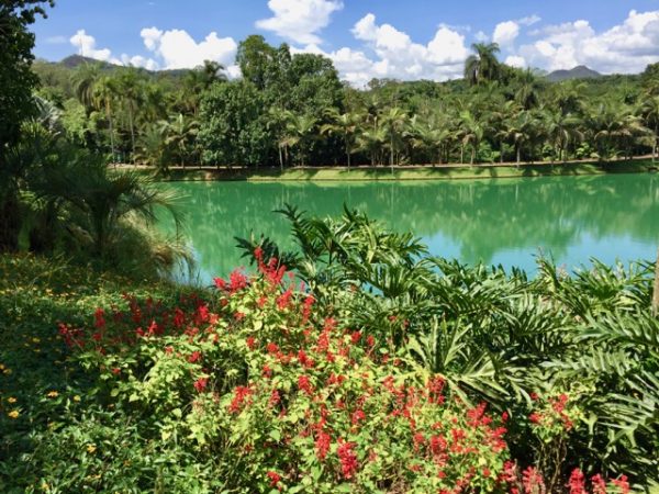 Inhotim botanical gardens and contemporary art museum in Brazil