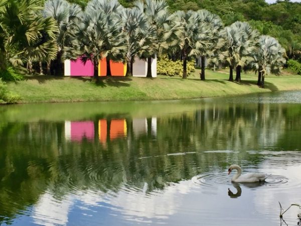 Inhotim botanical gardens and contemporary art museum in Brazil