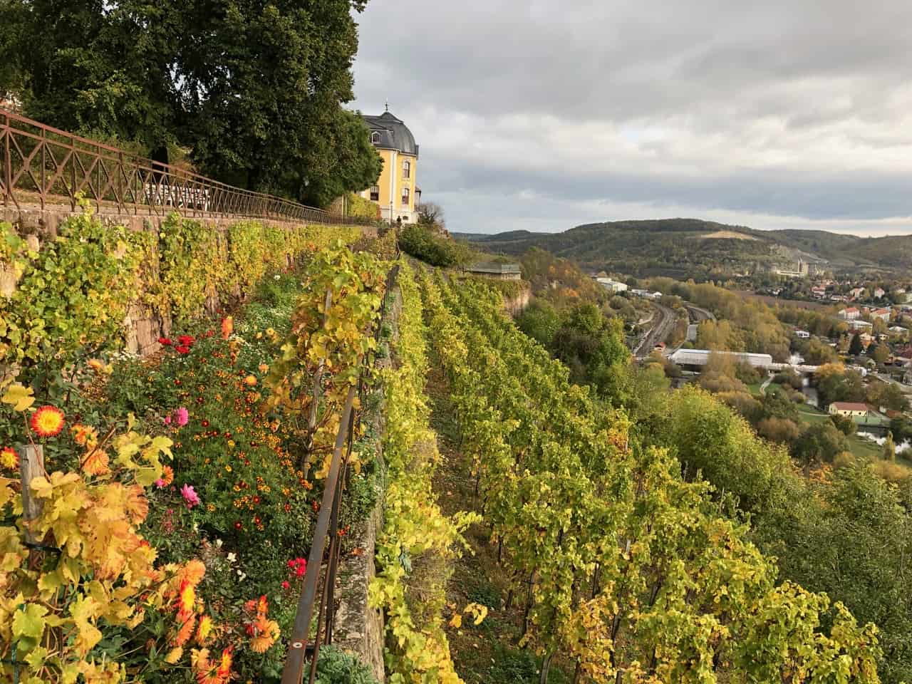 What to see in Dornburg (Saale) - castles and Bauhaus | Velvet Escape