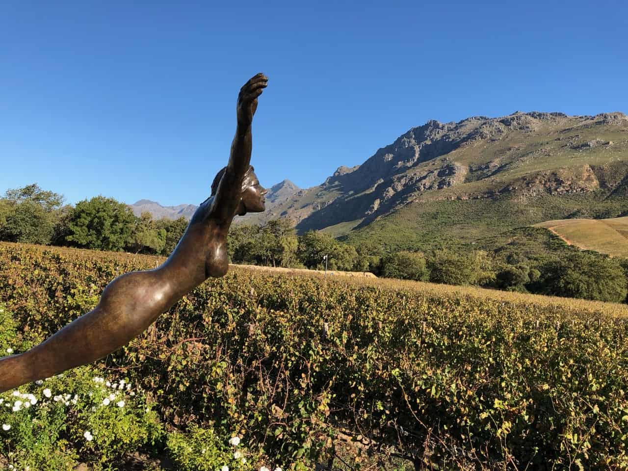Lanzerac Wine Estate and five-star hotel in Stellenbosch | Velvet Escape