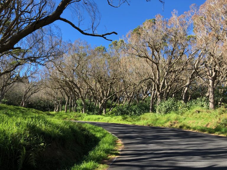 The best places to visit in Reunion Island on a self-drive itinerary