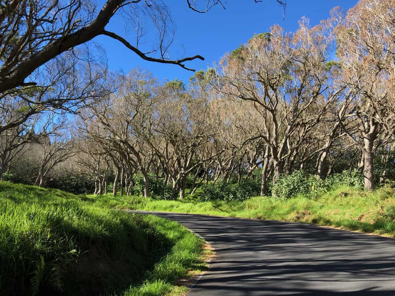 The best places to visit in Reunion Island on a self-drive itinerary