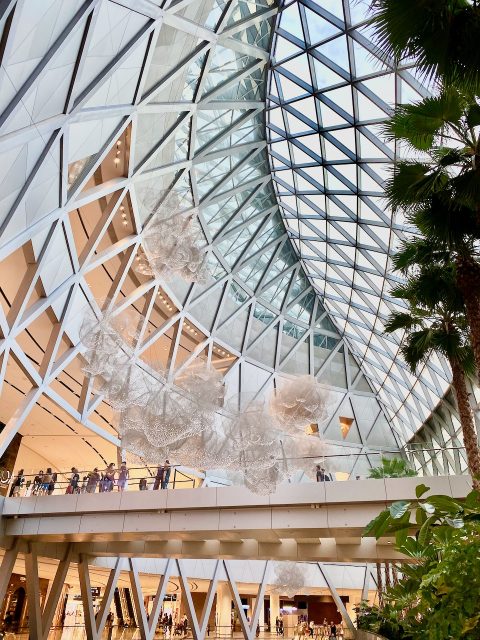 How to visit Jewel at Changi Airport in Singapore | Velvet Escape