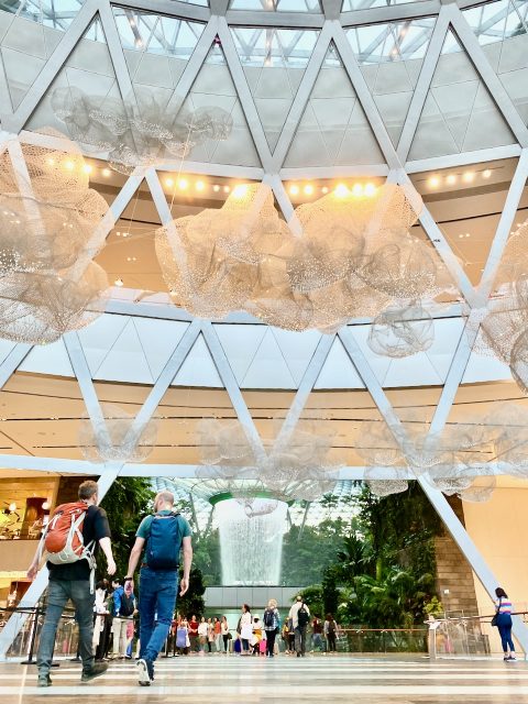 How to visit Jewel at Changi Airport in Singapore | Velvet Escape
