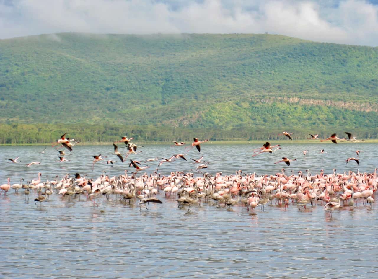 The splendor of Lake Nakuru in photos