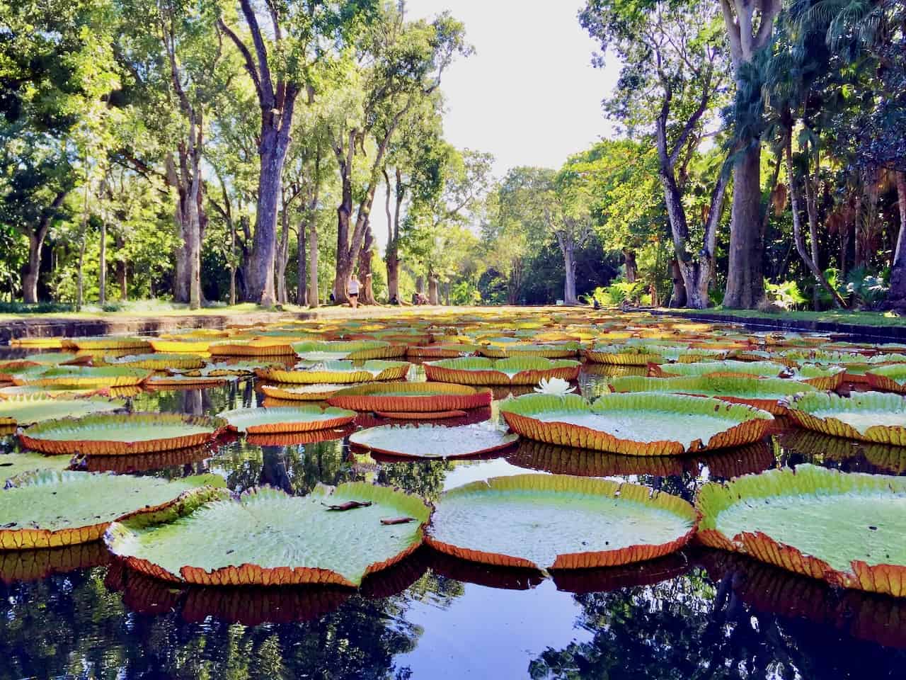 Nature photos from around the world | Velvet Escape