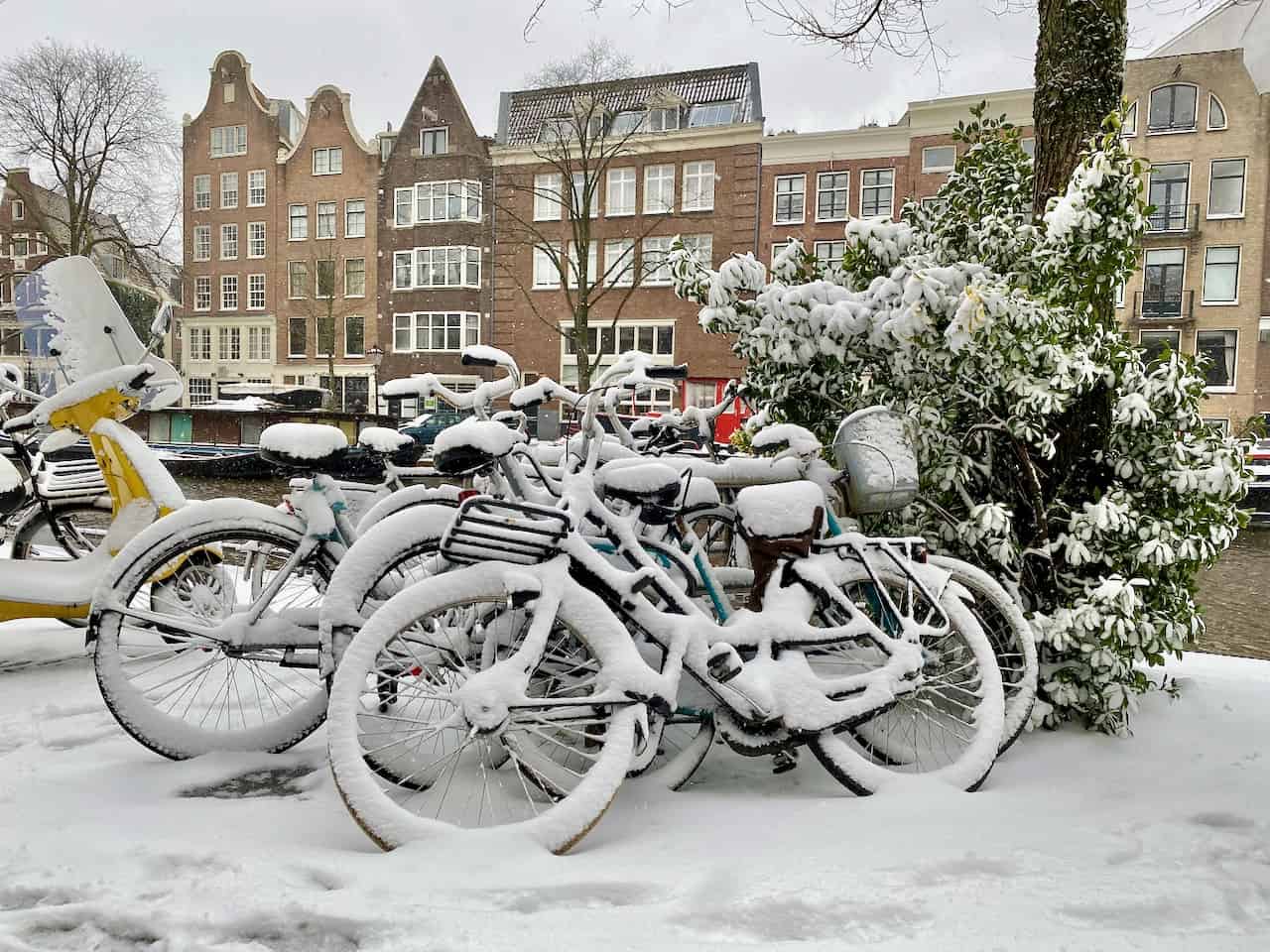 Snow and frozen canals in Amsterdam - Winter 2021 | Velvet Escape