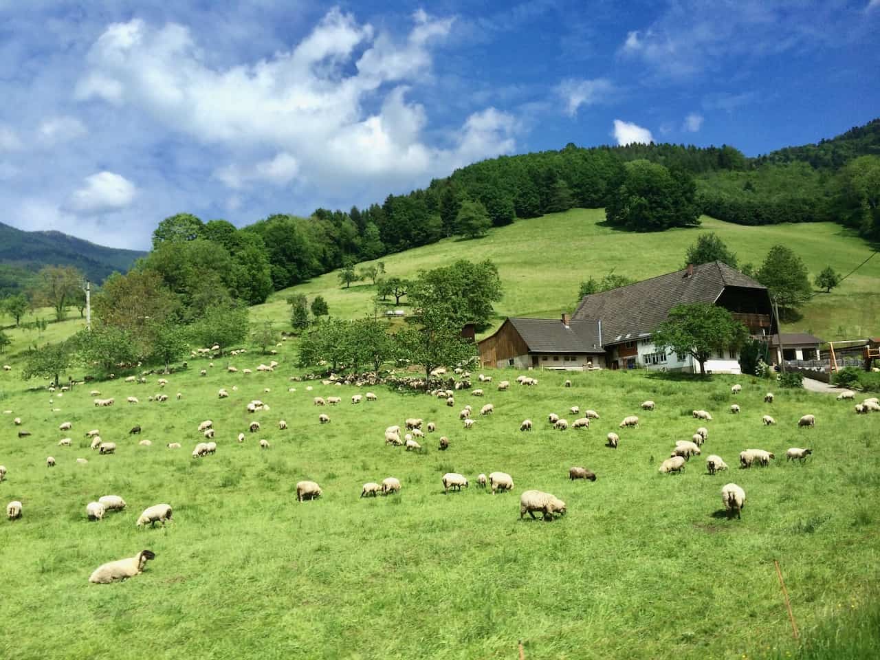 Reasons to visit Germany at any time of the year | Velvet Escape