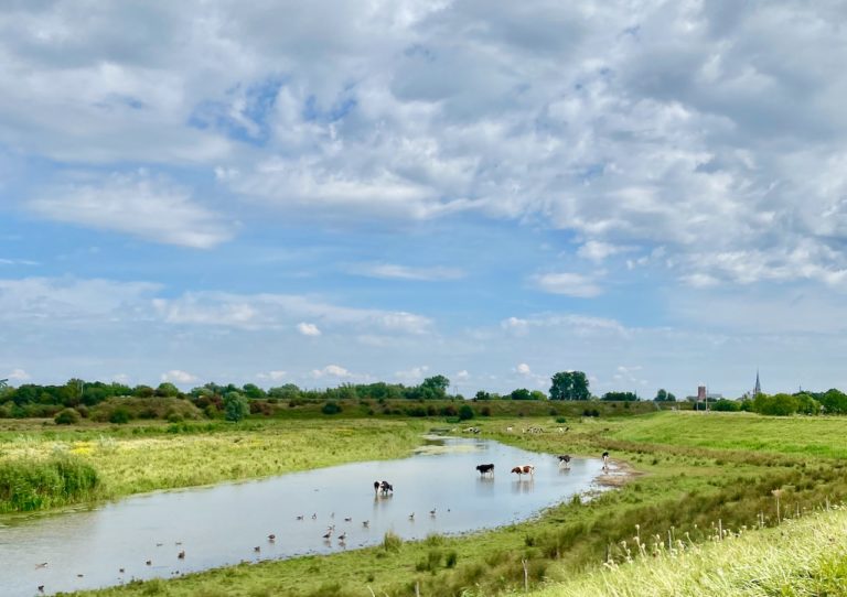 Central Netherlands road trip: places to visit in the Delta region