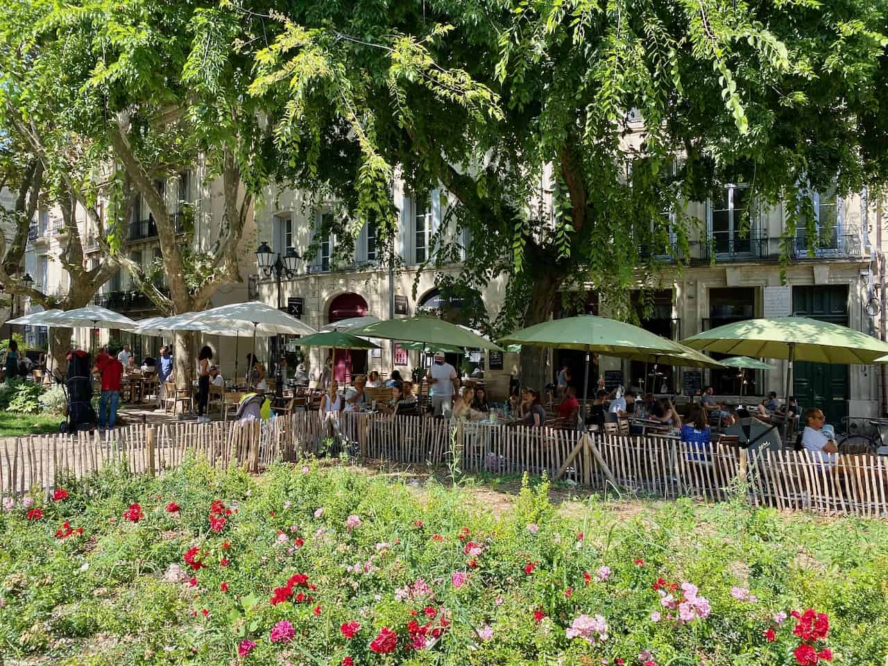 Things to do in Montpellier, France | Velvet Escape