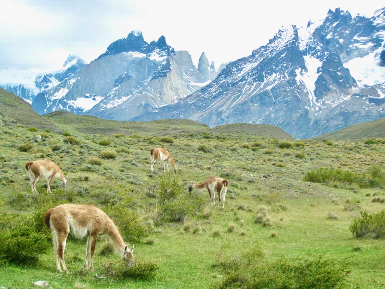 Best places to visit in Chile and what to do there | Velvet Escape