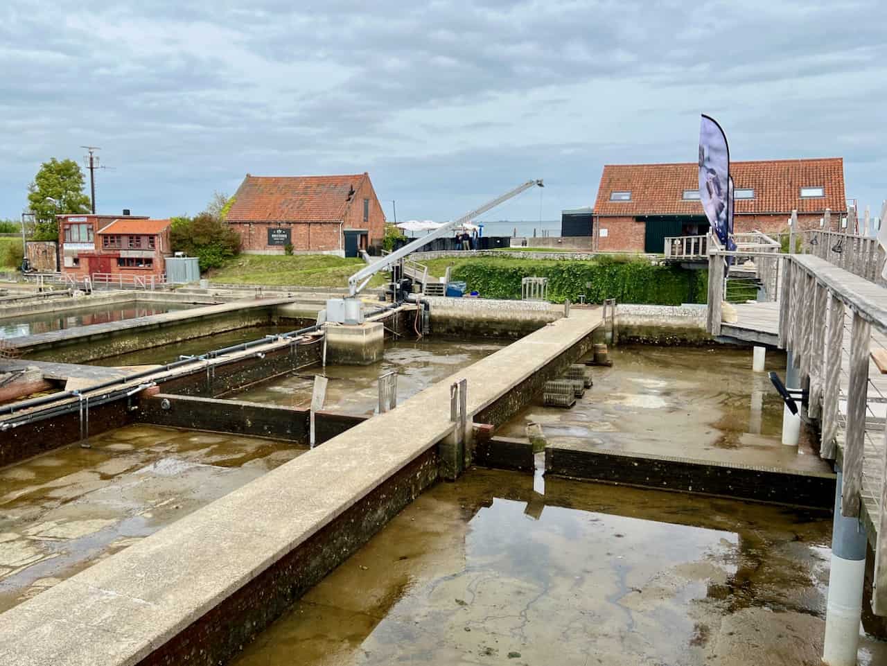 Yerseke - the oyster capital of the Netherlands | Velvet Escape