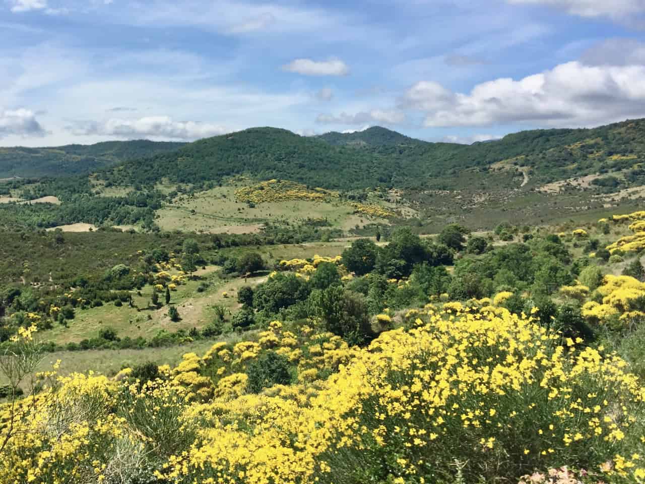 An epic South of France road trip itinerary | Velvet Escape