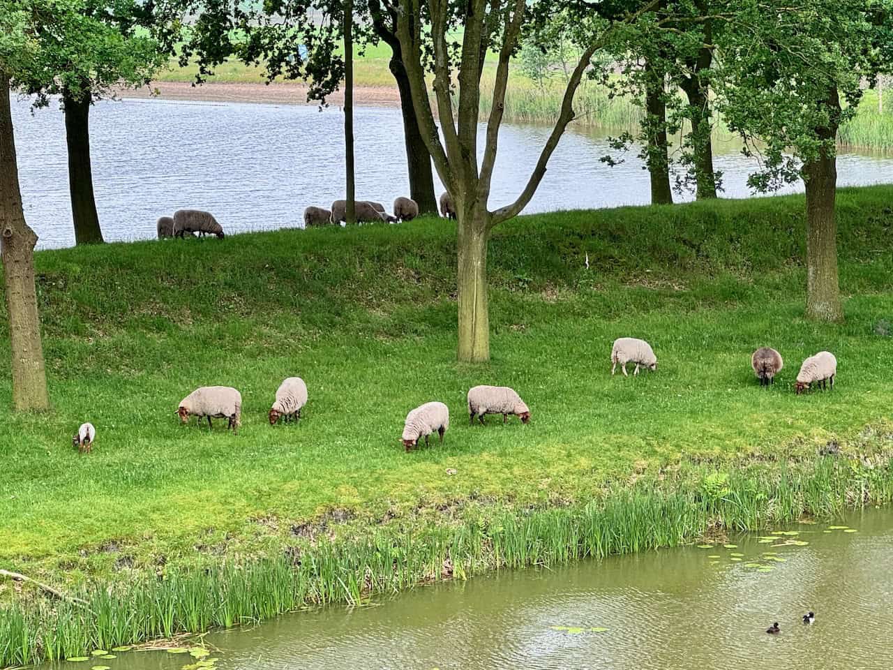 Fort Bourtange: a historic star-shaped fortress | Velvet Escape